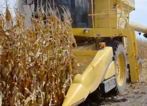 HarvestMaster Announces Mirus Harvest Data Collection Software - Global ...