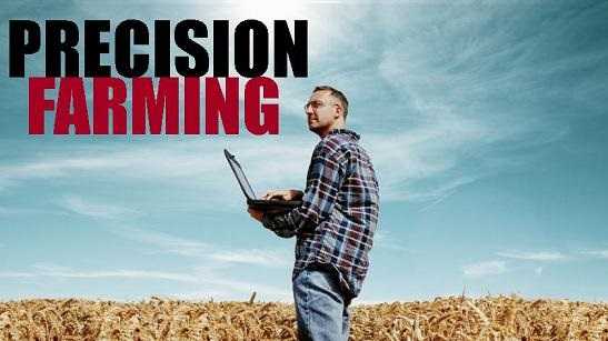 Corn Production And Precision: New Research On Tap To Find Benefits ...