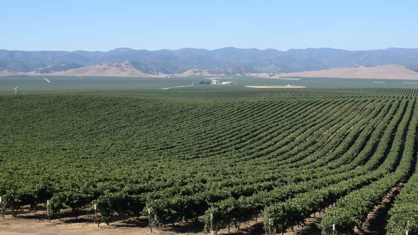 Clark State Partners With Viticulture Program To Offer Precision ...