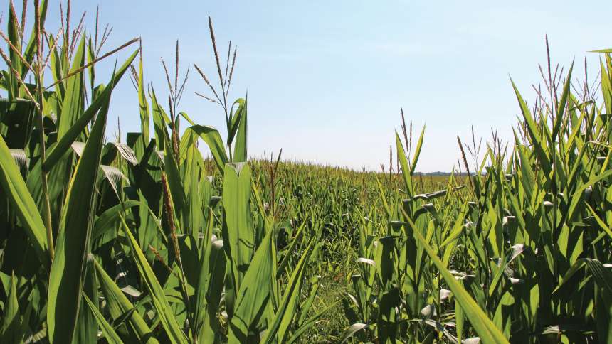 Raven Details Hawkeye Enhancements - Global Ag Tech Initiative